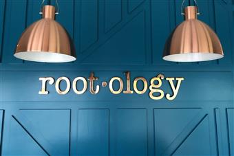 Rootology Salon - Fredericksburg TX | Vagaro